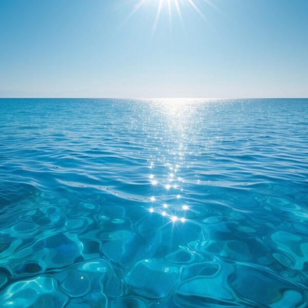 O que significa 244? Veja os detalhes - CB zoo